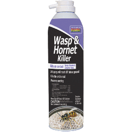 WASP - HORNET SPRAY